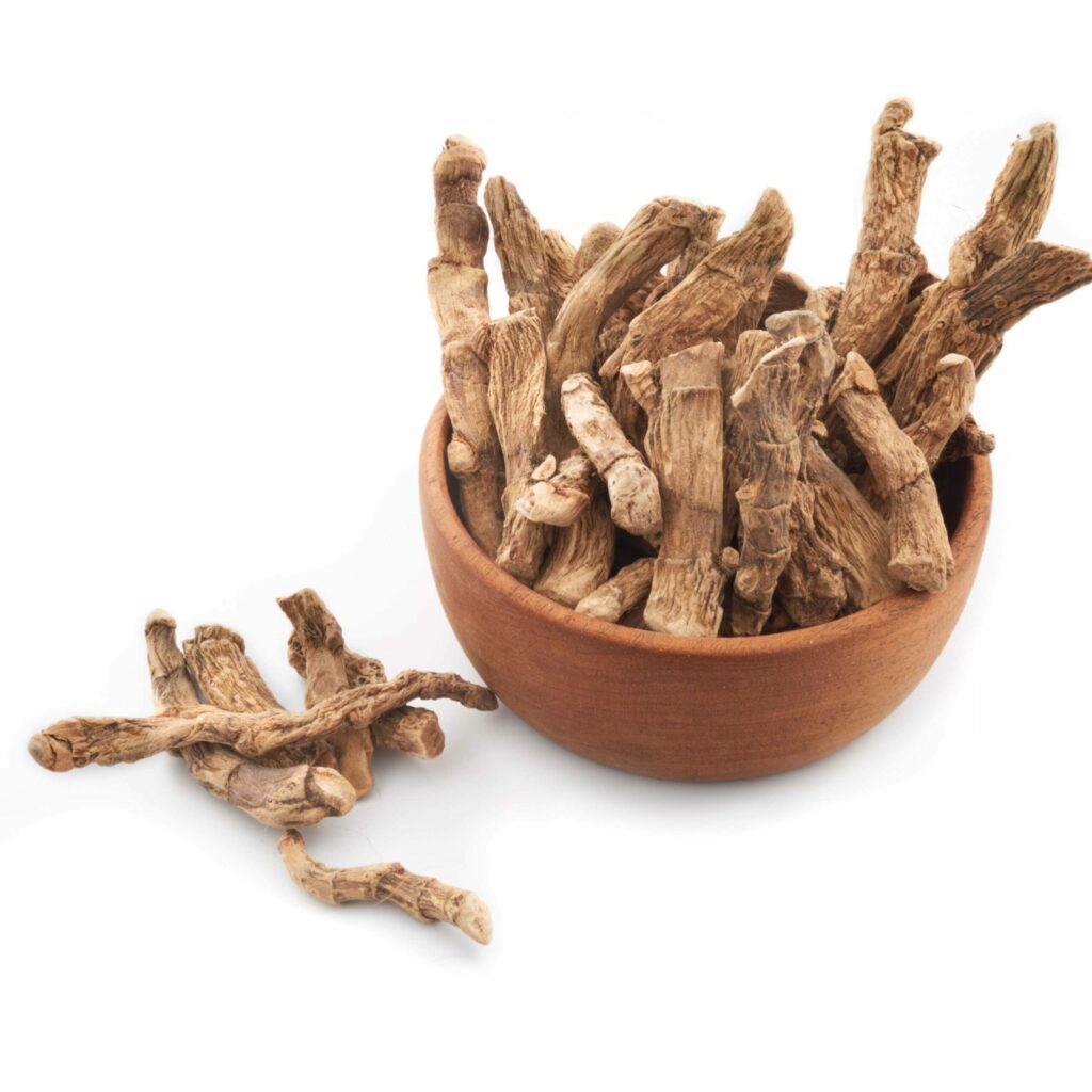 Calamo Raiz India - Castello Ponte